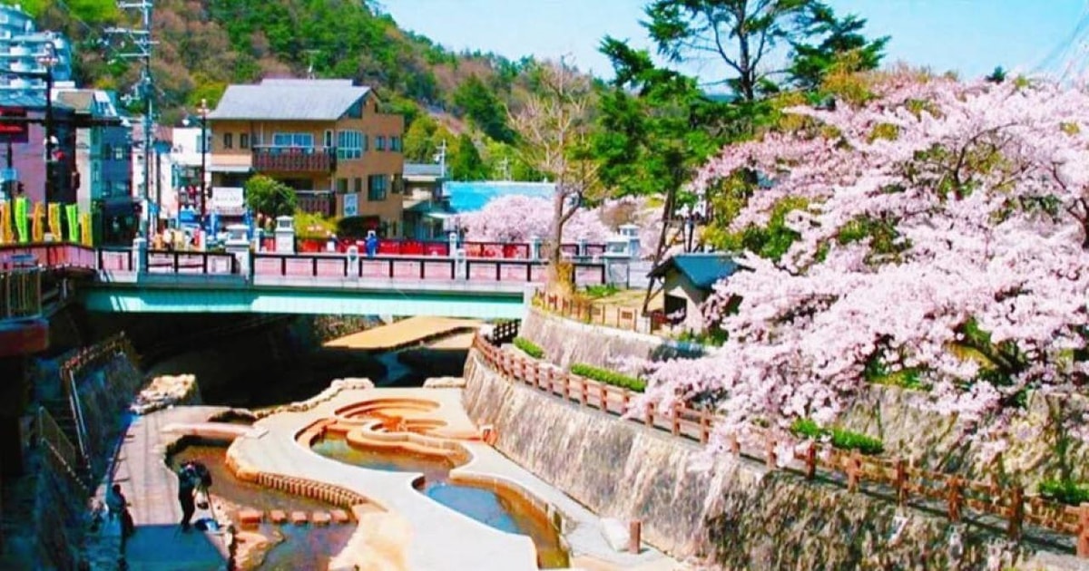 Excursión de un día a Kobe, vista del monte Rokko, Kitano Ijinkan y ...