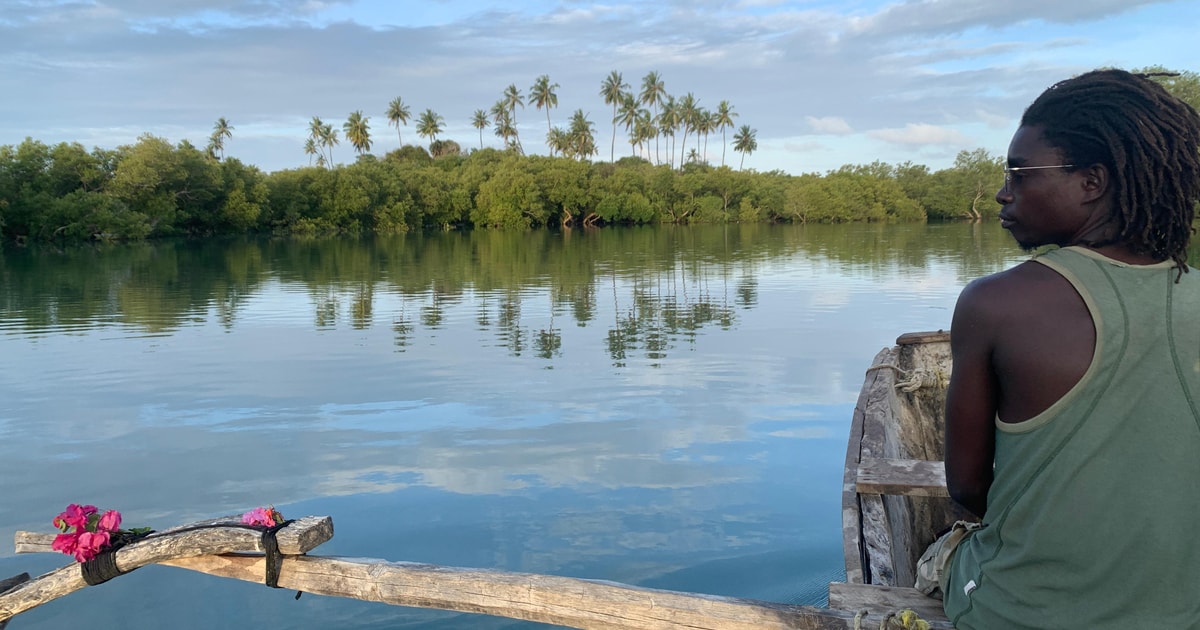 Diani: Sunset Canoe Tour along the River with Mangroves | GetYourGuide