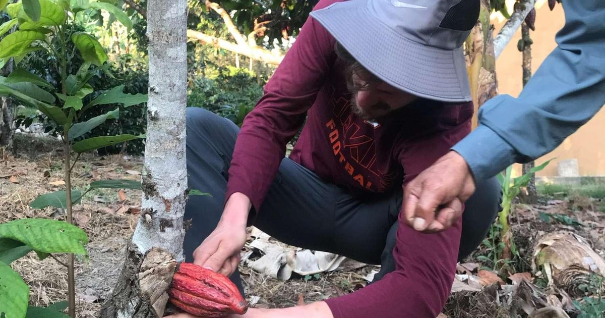 Vanuit Cusco: Quillabamba en cacaoboerderij 2-daagse tour | GetYourGuide
