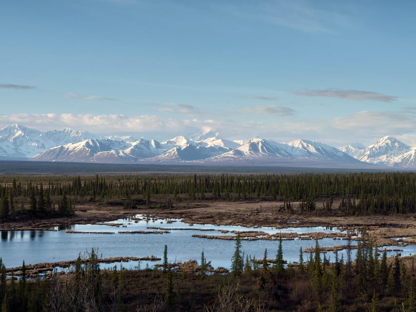 Authentical Denali Tour from Denali Park and Fairbanks | GetYourGuide
