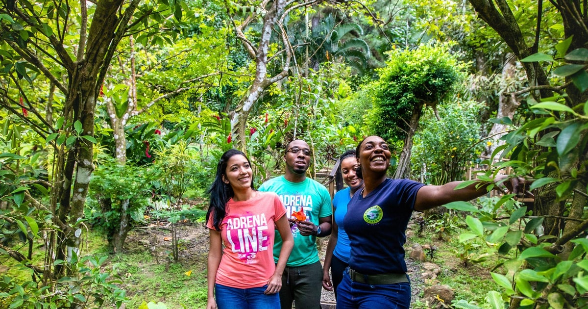 Castries St Lucia: Guided Rainforest Hike – Jacquot Trail | GetYourGuide