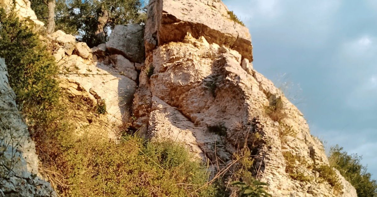 Walk through Lama S.Croce: Between Trulli and Olive Trees | GetYourGuide