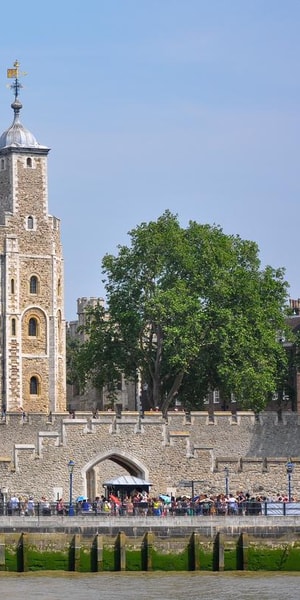 Londyn: Wycieczka prywatną taksówką 50+ zabytków i Tower of London ...