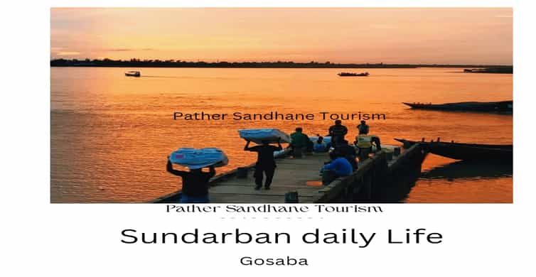 Discover the Wild Beauty of Sundarbans Mangrove & culture | GetYourGuide