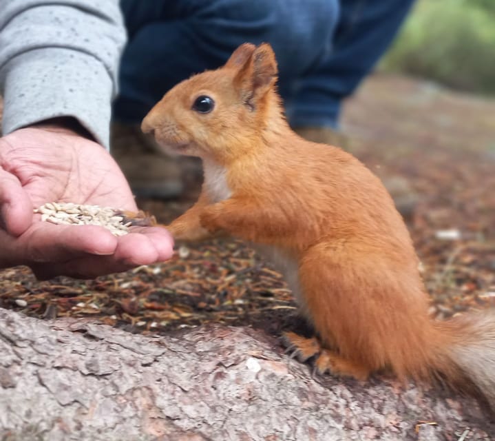 Bishkek City Tour and Ala-Archa National Park | GetYourGuide