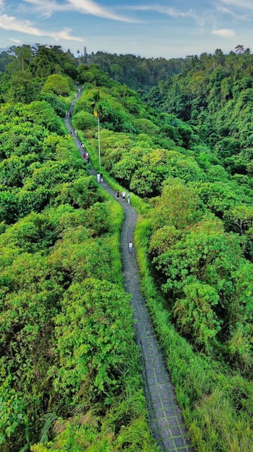 Ubud : Green Luminous Tour | GetYourGuide