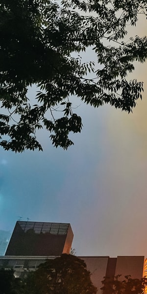 Tokyo Tower: Admission Ticket | GetYourGuide