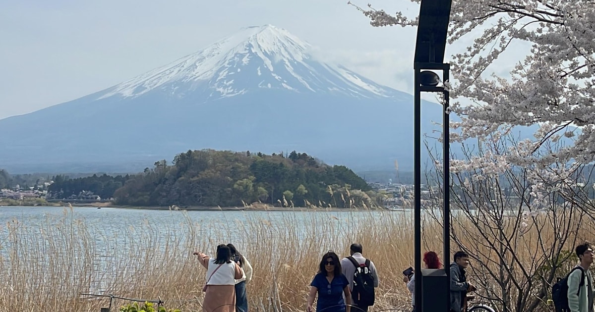 Vanuit Tokio: Mount Fuji Privétour met Engelssprekende Dr. | GetYourGuide