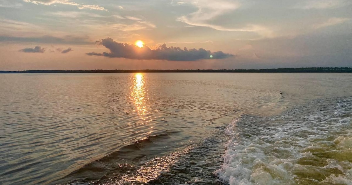 Orange Beach: crociera ecologica al tramonto con i delfini a bordo dell ...
