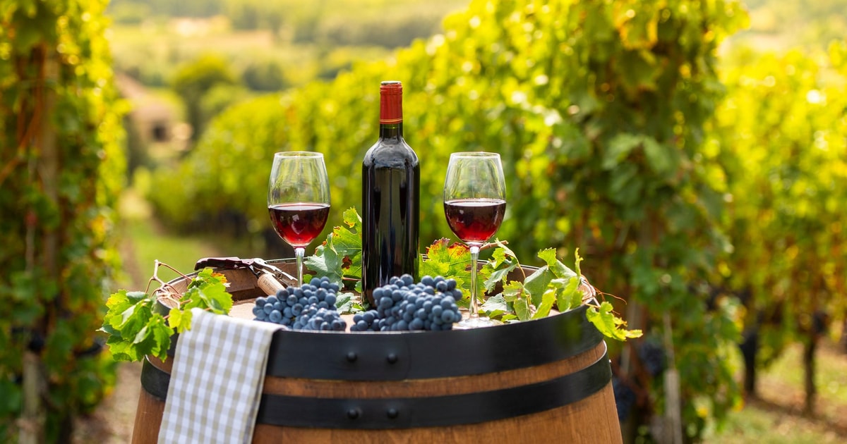 Elsass Wein Odyssee: Ganztägige private Tour ab Straßburg | GetYourGuide