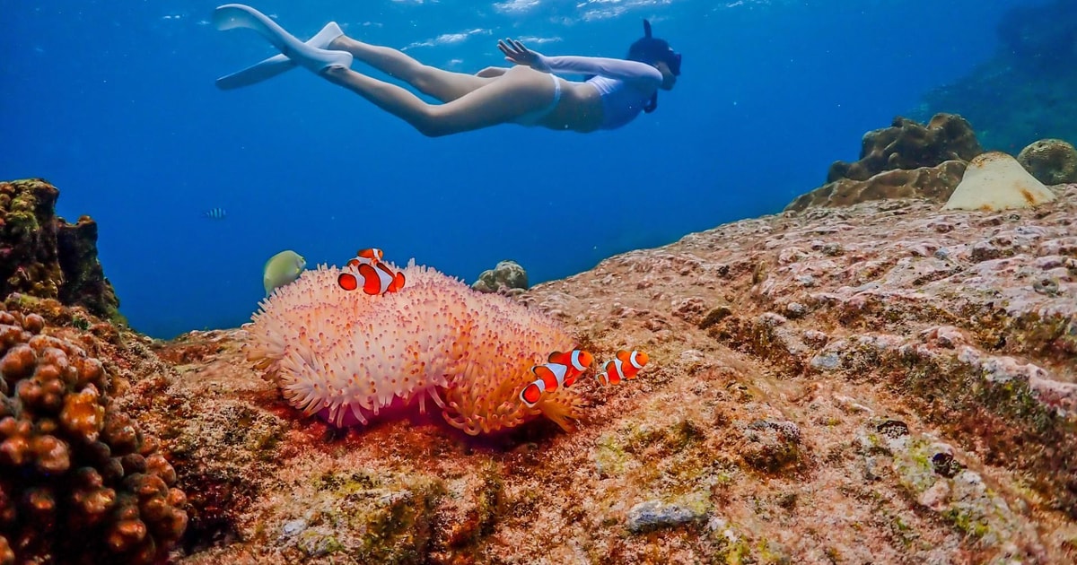 Bangkok: Nemo eiland dagtrip met drone foto's en lunch | GetYourGuide