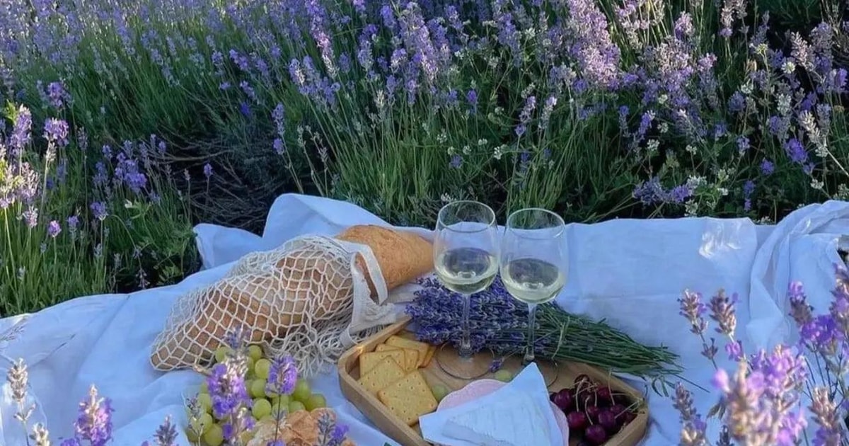 Provence: Valensole Lavender Fields Guided Full-Day Tour | GetYourGuide