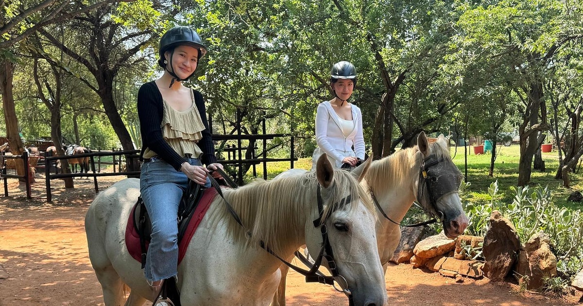 Johannesburg: Elephant, Horse Riding, and Lion Safari Tour | GetYourGuide