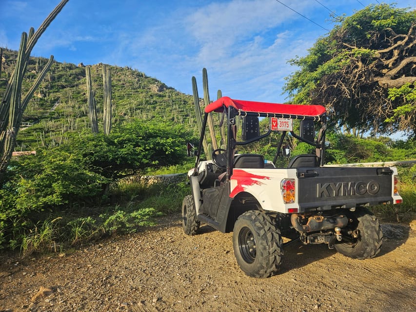 Morning UTV Island tour in Aruba. | GetYourGuide