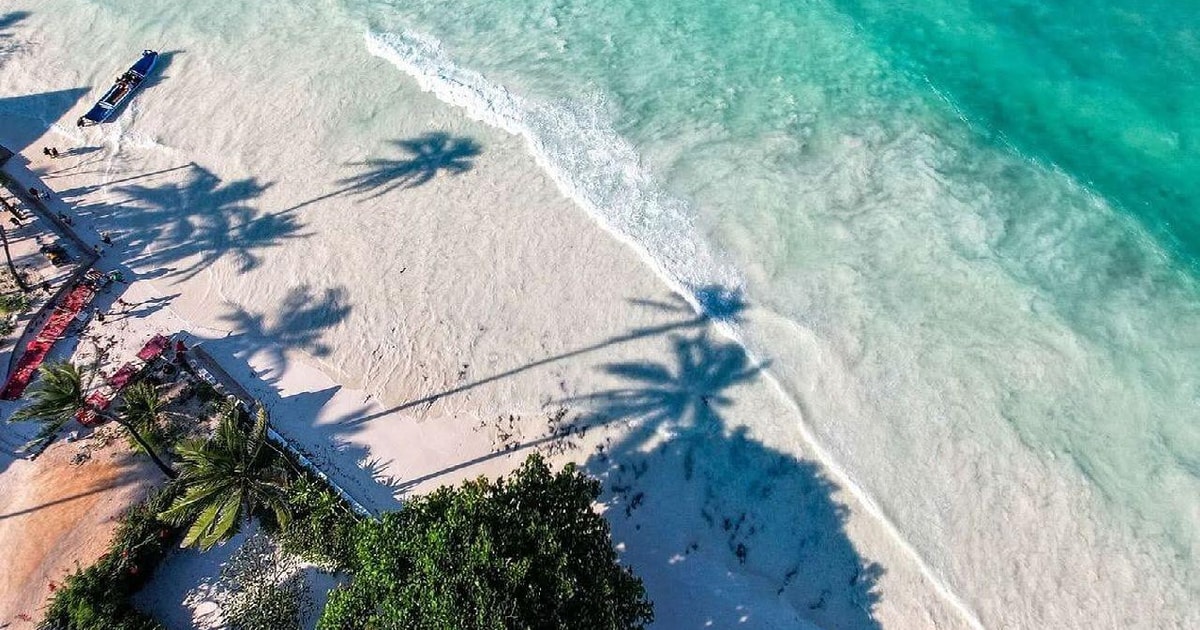 Jozani Forest Adventure & Oceanfront Dining at The Rock | GetYourGuide
