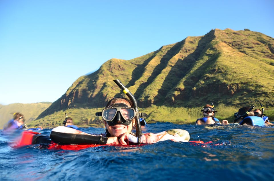 Oahu: Dolphin Swim and Turtle Snorkel Excursion in Waianae | GetYourGuide