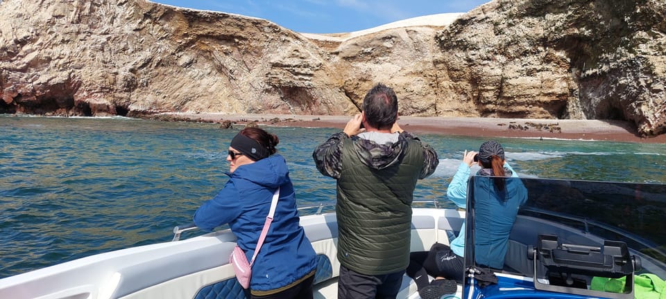 Tagestour: Ballestas Inseln & Paracas Naturreservat | GetYourGuide