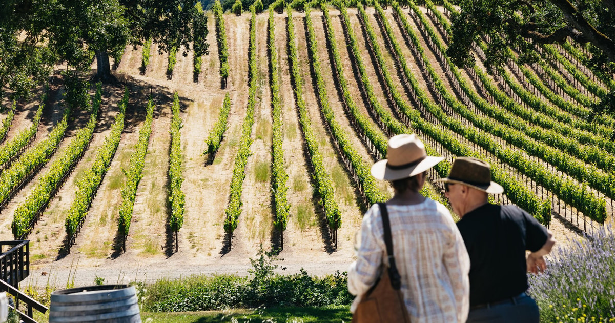 San Francisco: tour por los vinos de Napa y el valle de Sonoma ...