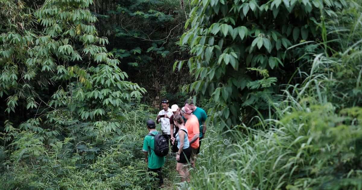 Mt. Merapi Majesty: Soft Trek and Botanic Village Tour | GetYourGuide
