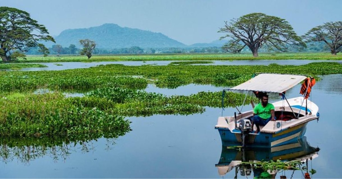 Yala: tour al tramonto in barca e cena barbecue sulla spiaggia ...