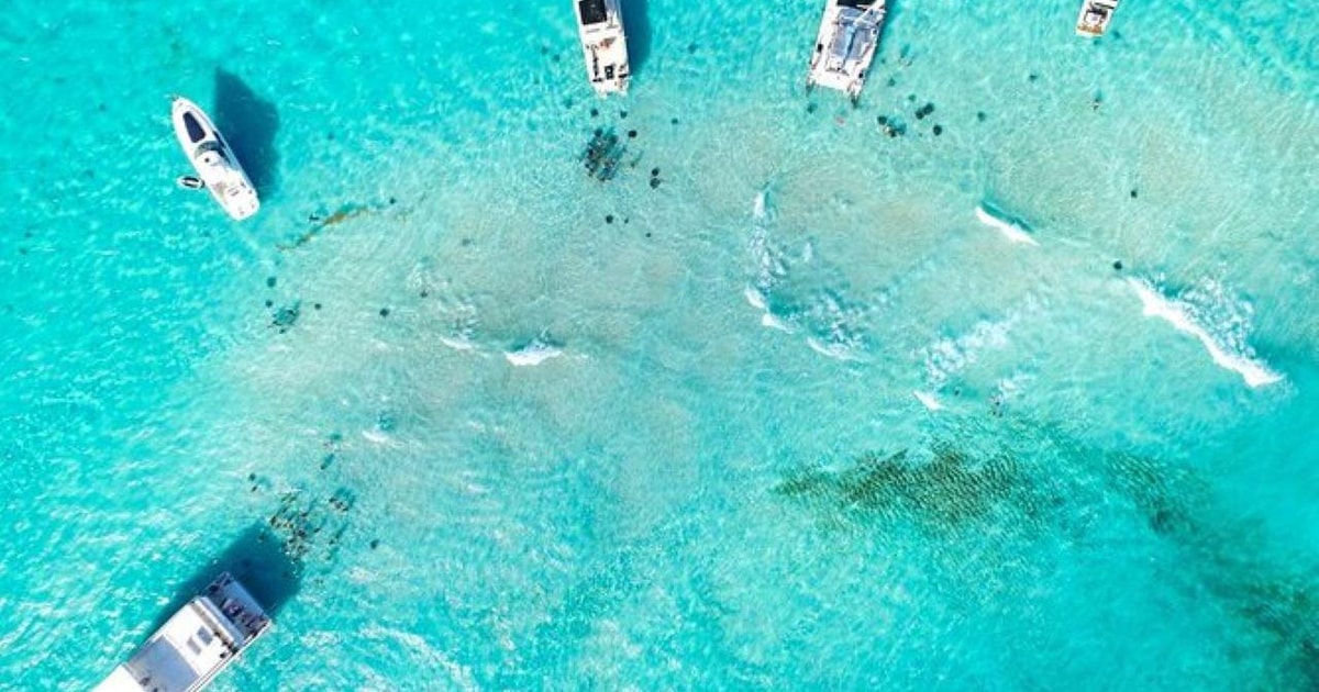 Cayman: Starfish Point, Stingray City and Coral Gardens | GetYourGuide