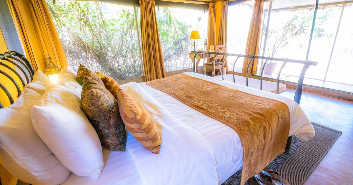 3-Day Meru National Park-Ikweta Safari Camp | GetYourGuide