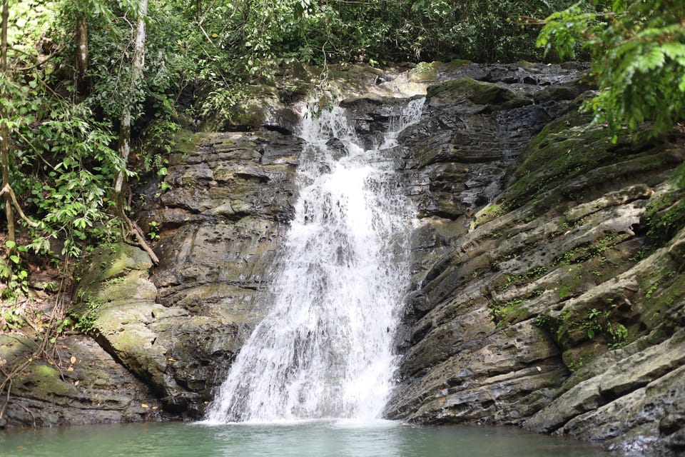 Quepos Waterfall Tours: New Adventures Await! | GetYourGuide