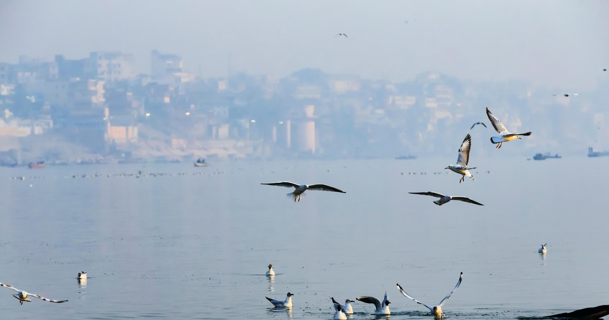 Sunrise Boat Ride, Ganga Arti, Street Food, Heritage Walk | GetYourGuide