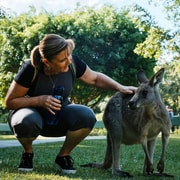 From Brisbane: Queensland Zoo and Sunshine Coast Day Trip - 2026 ...