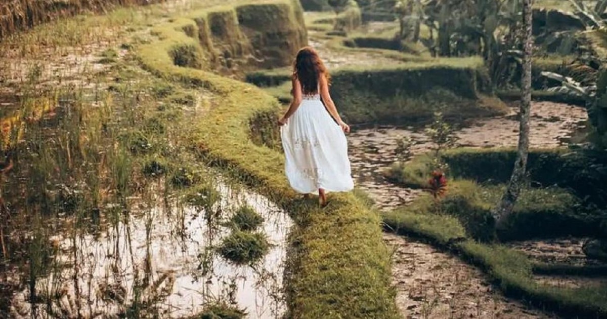 Bali: Highlights von Ubud und Vulkan Mount Batur Tour | GetYourGuide