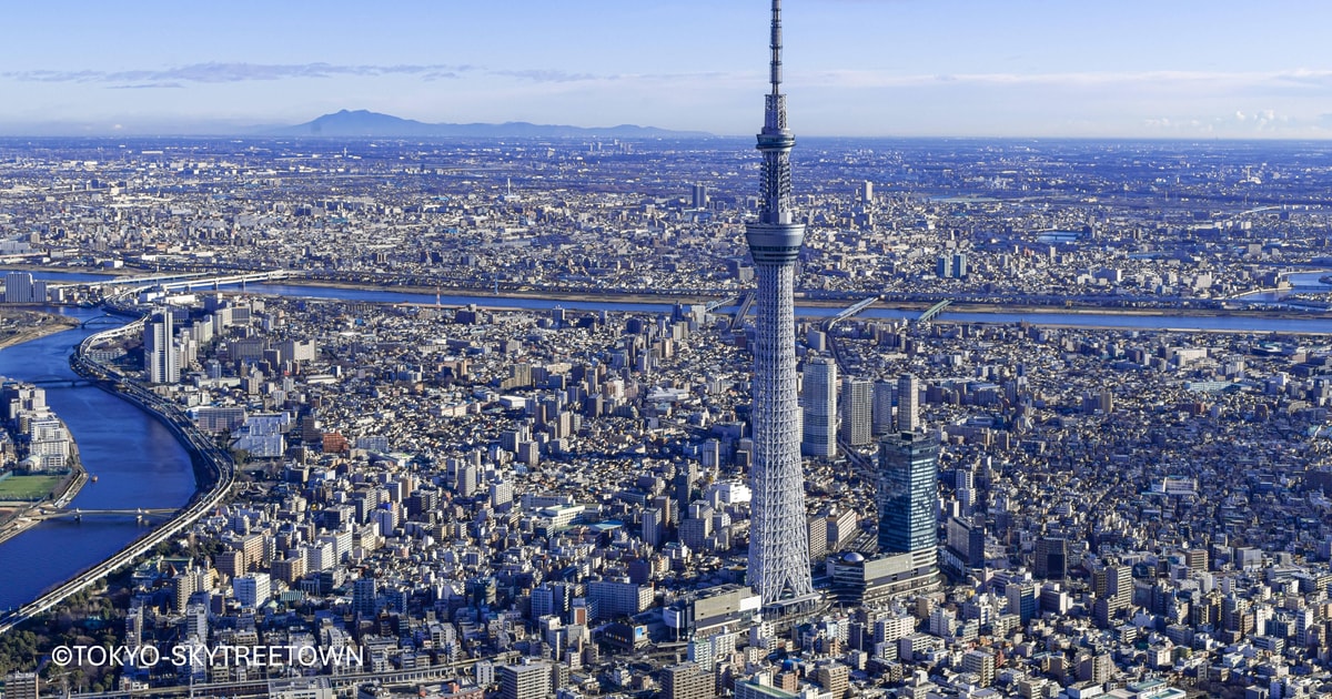 Tokio: tour en autobús de 1 día con Meiji-Jingu, Odaiba, almuerzo y ...