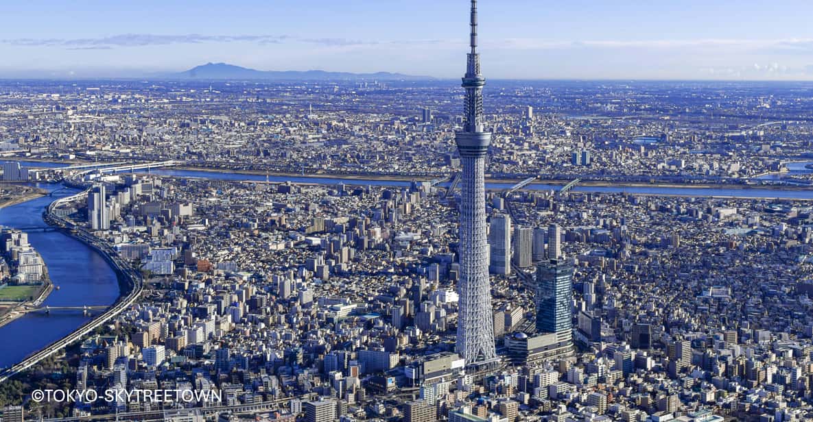 Tokyo: 1 Day Bus Tour with Meiji-Jingu,Odaiba,lunch&Skytree | GetYourGuide