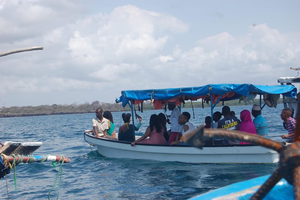 Wasini Dolphin 🐬 Tour from Diani Beach / Mombasa | GetYourGuide