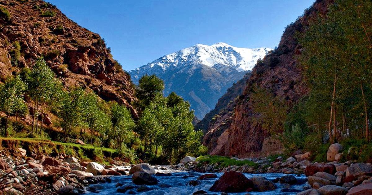 Private day trip to the Atlas Mountain & Ourika Valley | GetYourGuide