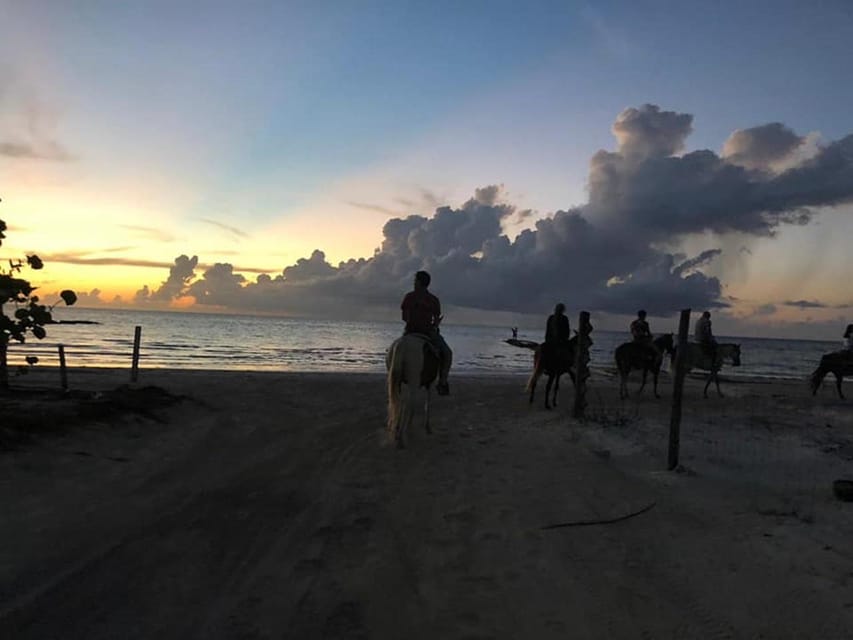 Group horseback ride on Holbox Island, Quintana Roo | GetYourGuide