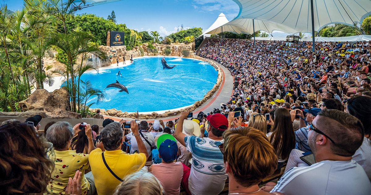 Tenerife: Loro Parque Entry Ticket | GetYourGuide