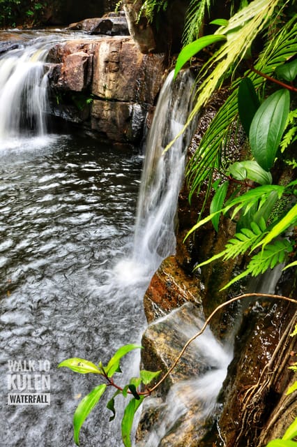 Phnom Kulen Waterfall | GetYourGuide