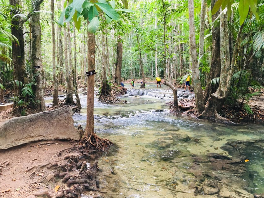 Krabi: Emerald Pool and Hot Springs Waterfall Half-Day Trip | GetYourGuide