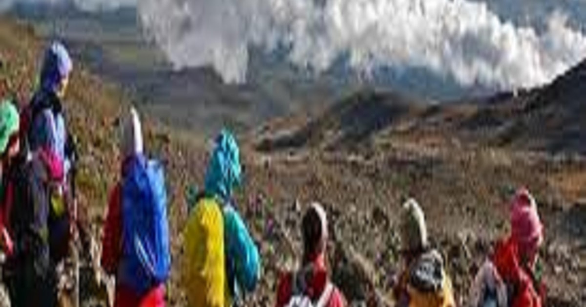 Kilimanjaro Trekking Rongai Route in 6 -Days | GetYourGuide
