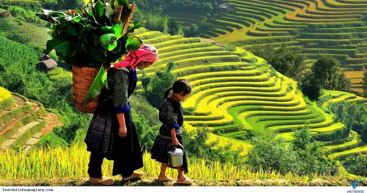 From Hanoi: Sapa 3D2N tour- Lao Chai, Ta Van, Giang Ta Chai | GetYourGuide