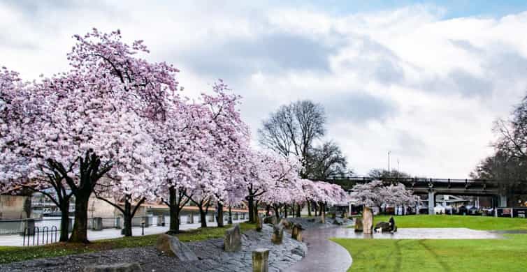 Pedaling Through the Best of Portland Tour | GetYourGuide