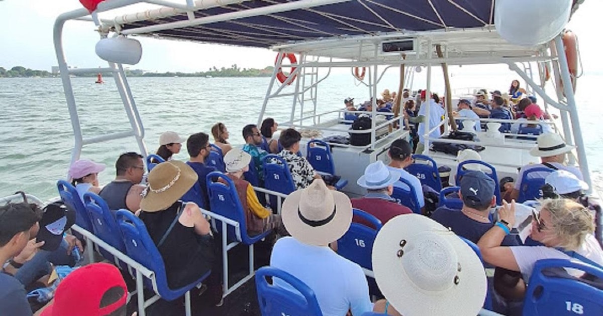 Cartag: City tour bay and walk through the old city + lunch | GetYourGuide