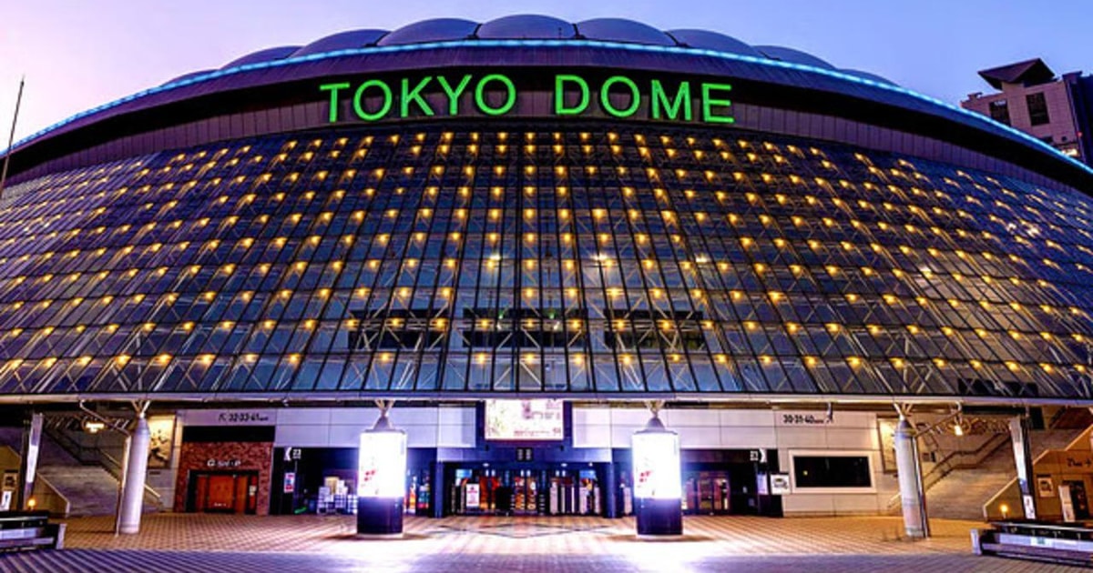 Tokyo Dome: Yomiuri Giants Baseball Game Ticket with Towel | GetYourGuide