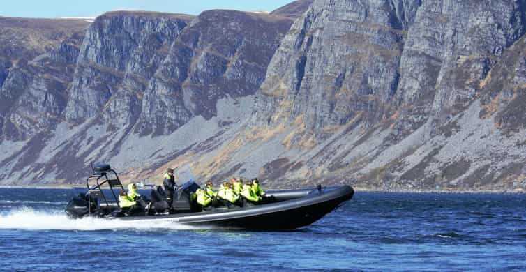 Måløy: RIB-Boot-Safari | GetYourGuide