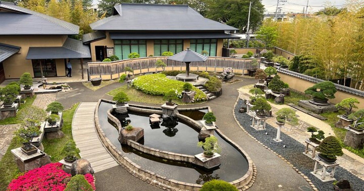 From Tokyo: Omiya Bonsai Village Tour with Licensed Guide | GetYourGuide