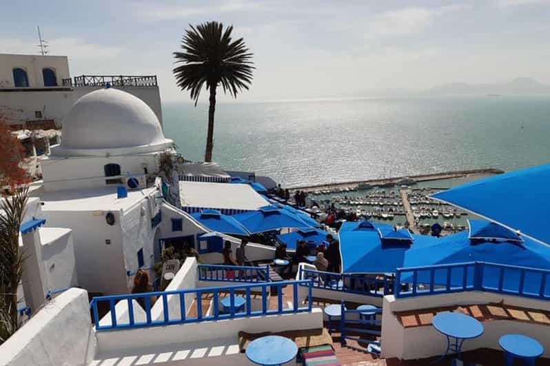Excursion d'une journée à Tunis Carthage Bardo depuis Hammamet ...