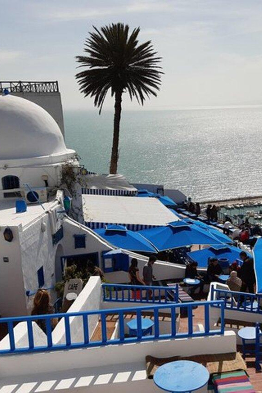 Medina of Tunis Carthage and Sidi Bousaid : Sightseeing Tour | GetYourGuide
