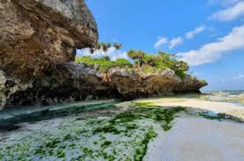Nadar en la cueva Swahili, la playa de Mtende y la roca | GetYourGuide