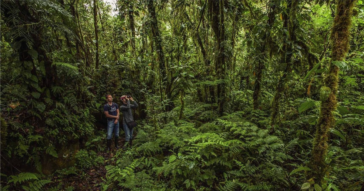 Din Cusco: Parcul Național Manu 3 zile și 2 nopți | GetYourGuide