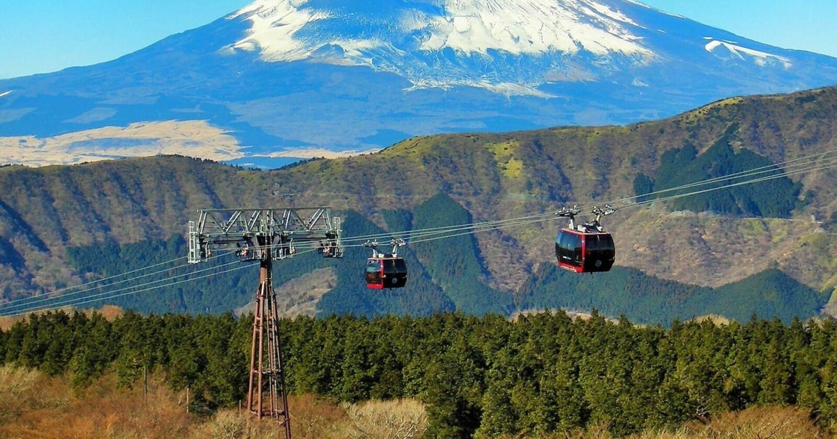 From Tokyo: Hakone Day Trip with Lake Ashinoko Boat Cruise | GetYourGuide